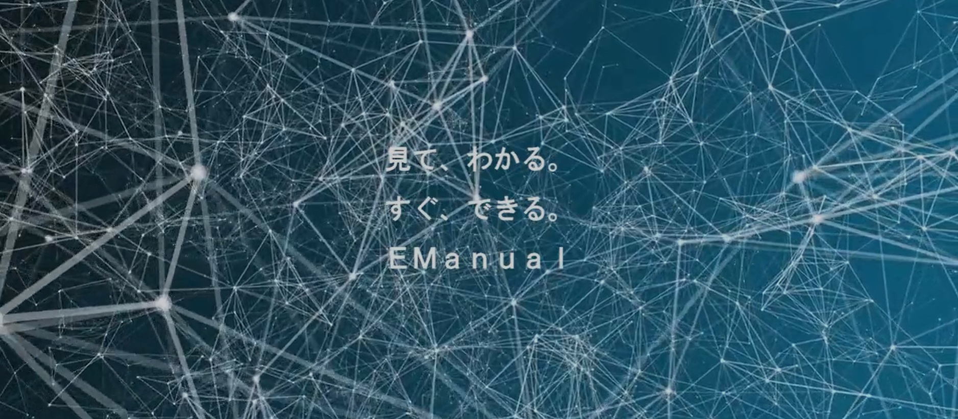 Emanual – eAct